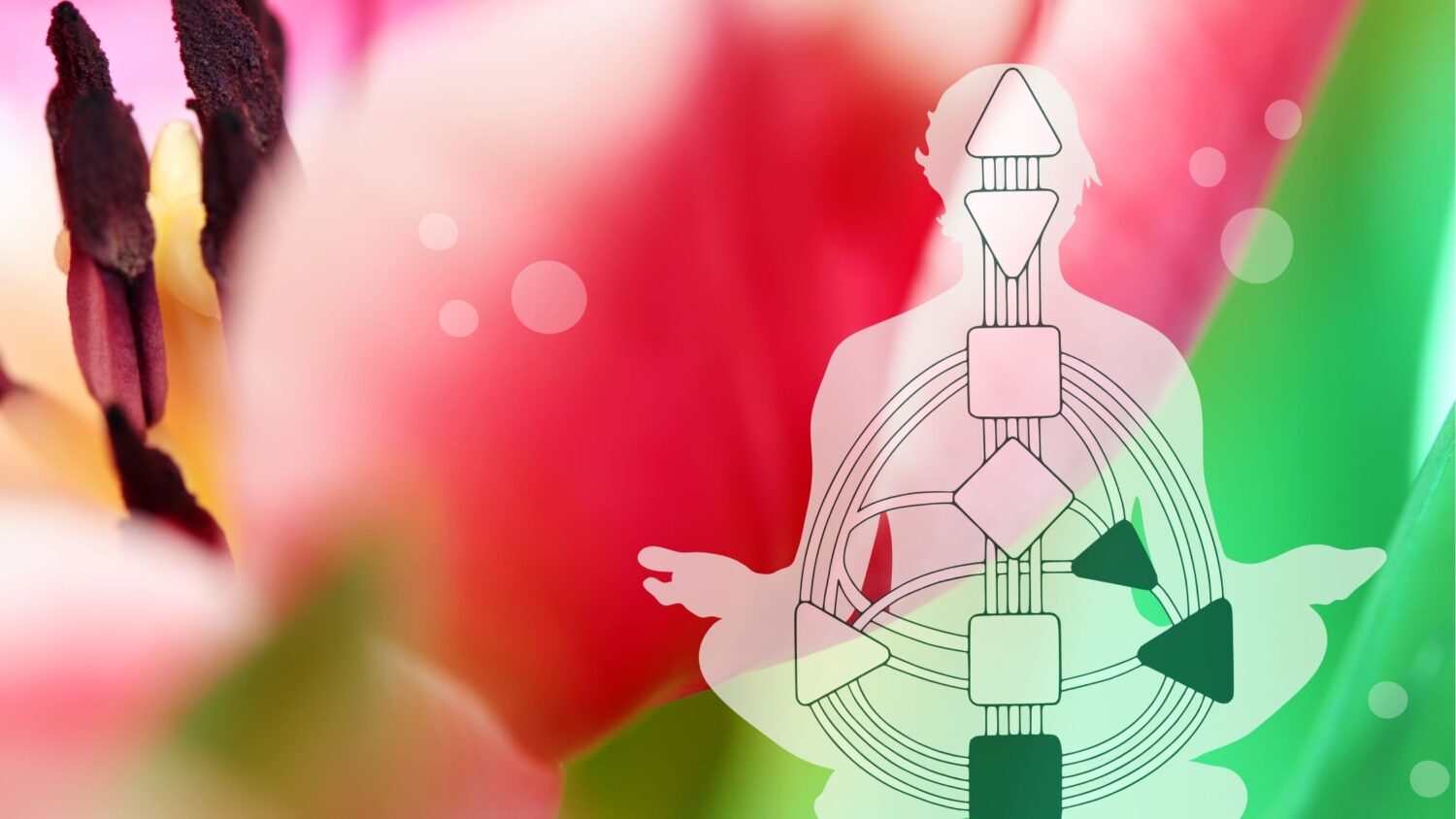 Big Five for Life & Human Design: Meine Reise zur eigenen Bestimmung